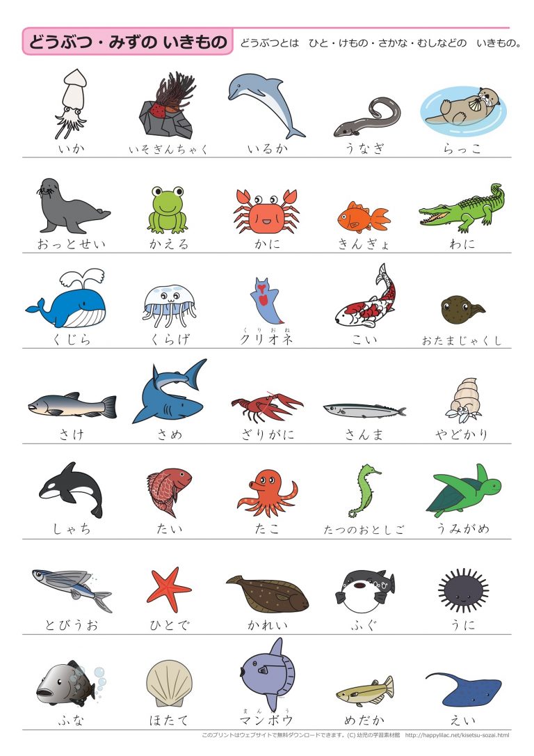 Basic Japanese Vocabulary through pictures - Japanese Quizzes
