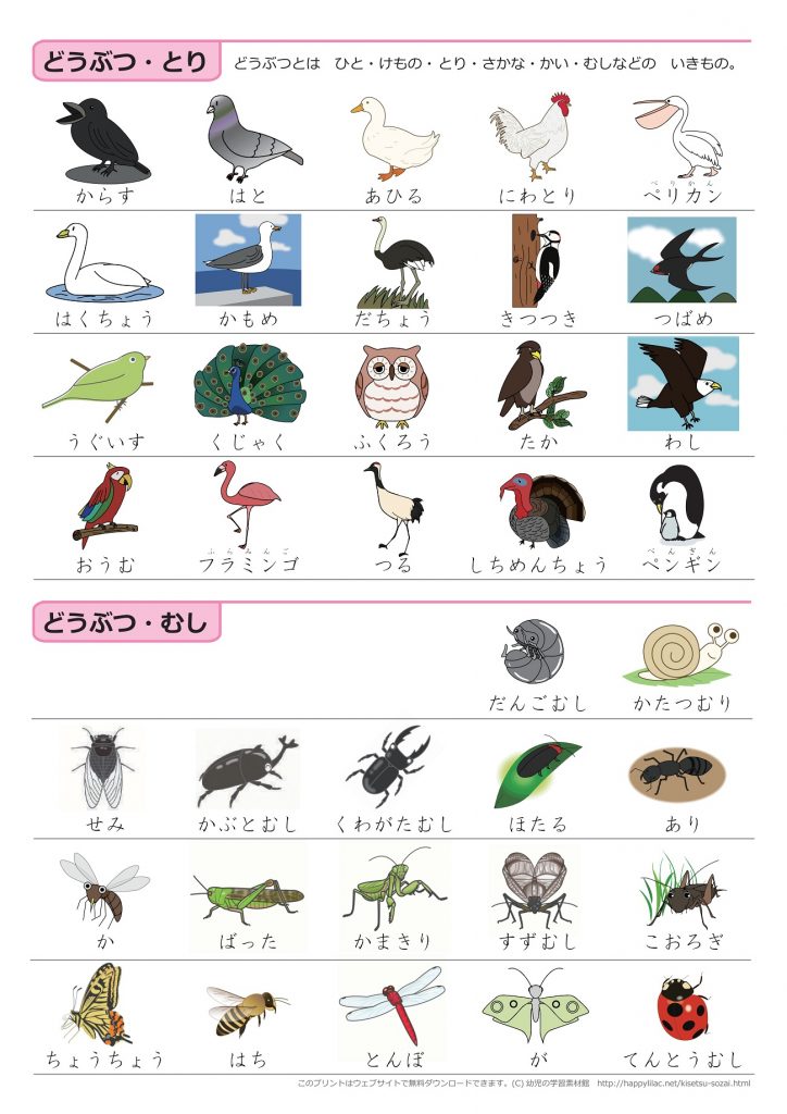 Basic Japanese Vocabulary through pictures - Japanese Quizzes