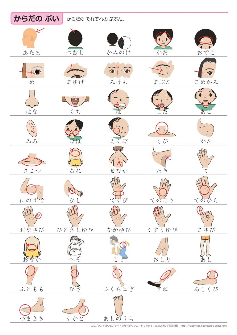 Basic Japanese Vocabulary through pictures - Japanese Quizzes