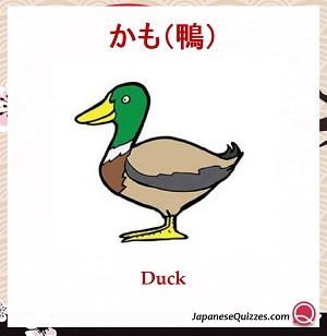 Animals in Japanese - Japanese Quizzes