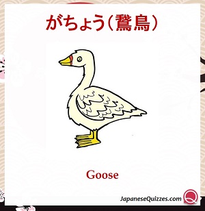 Animals in Japanese - Japanese Quizzes
