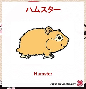 Animals in Japanese - Japanese Quizzes