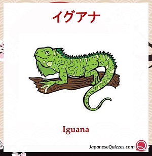 Animals in Japanese - Japanese Quizzes